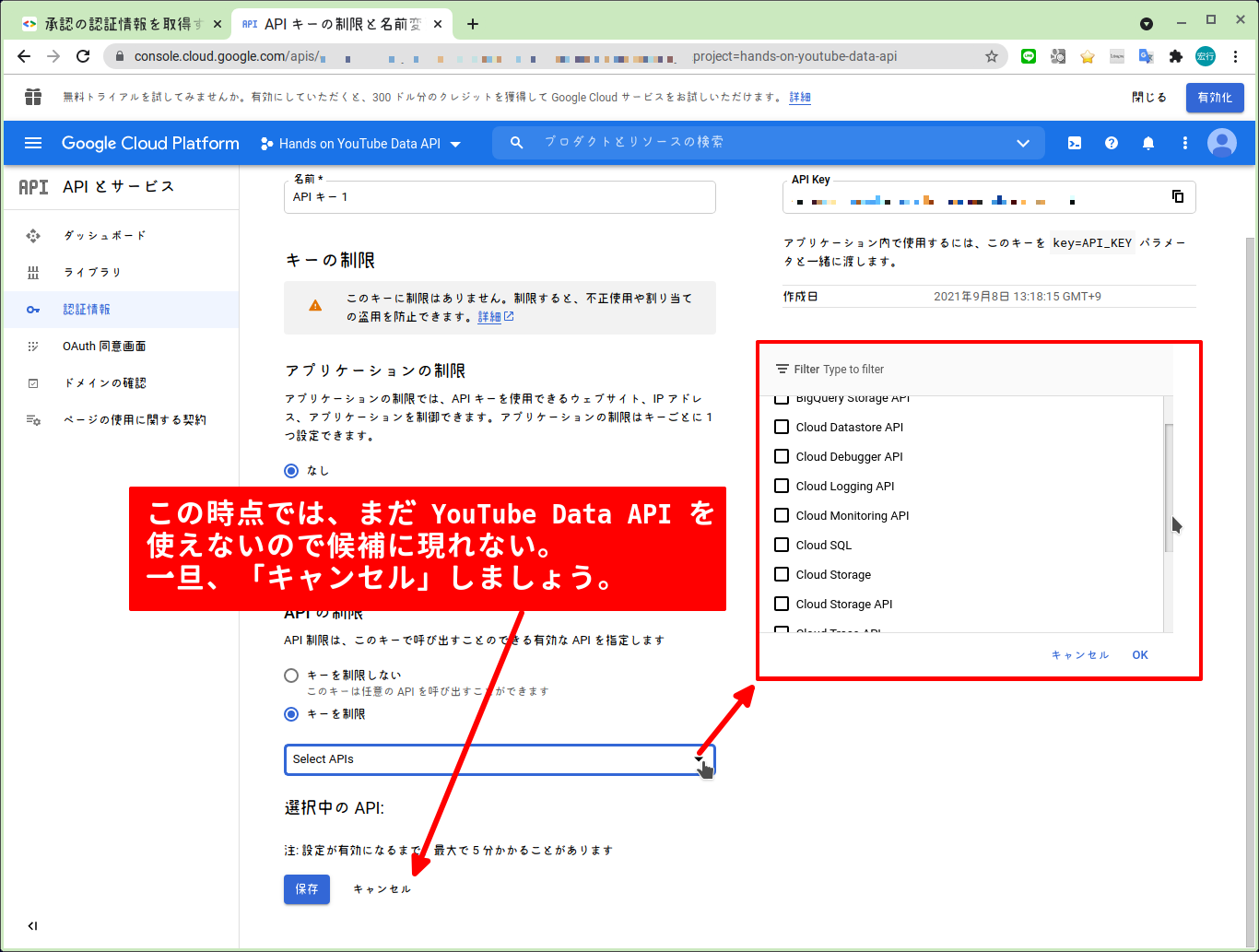 Python で副業（？） YouTube Data API を使ってみる 〜その2：準備、API Key 編〜 - akiblog