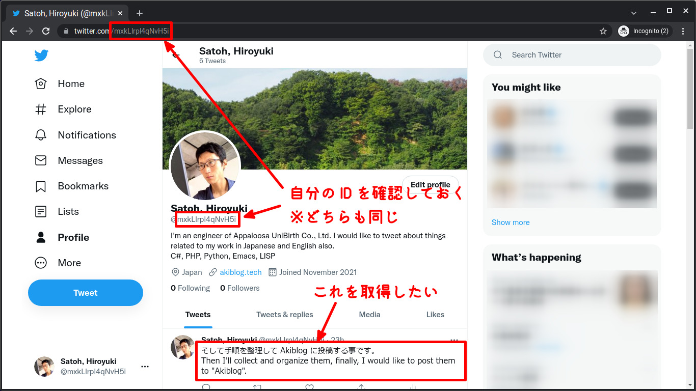 Python で副業（？） Twitter API を使ってみる 〜その2：OAuth 2.0 で Twitter API curl で取得〜 - akiblog